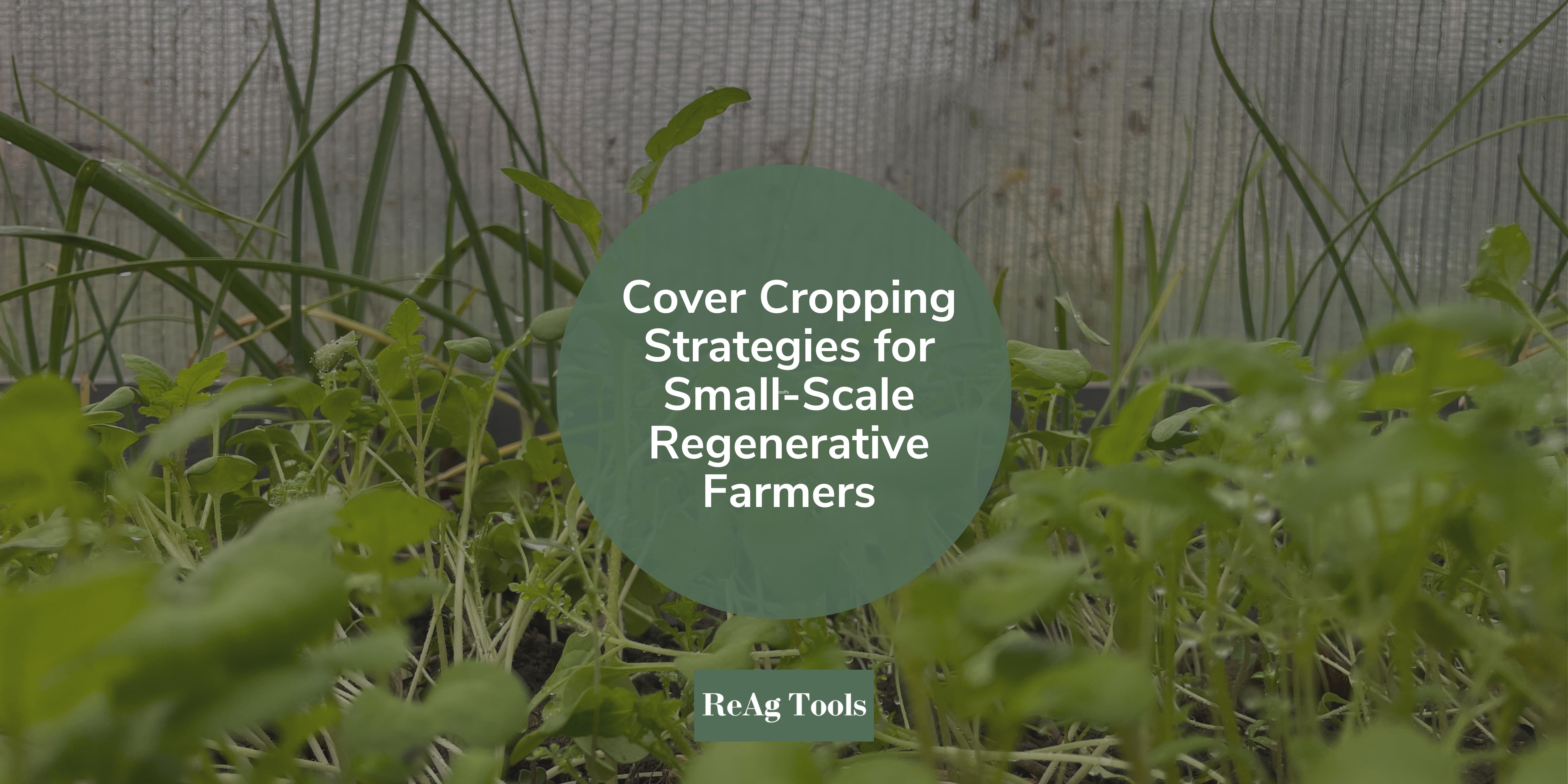 Cover Cropping Strategies for Small-Scale Regenerative Farmers