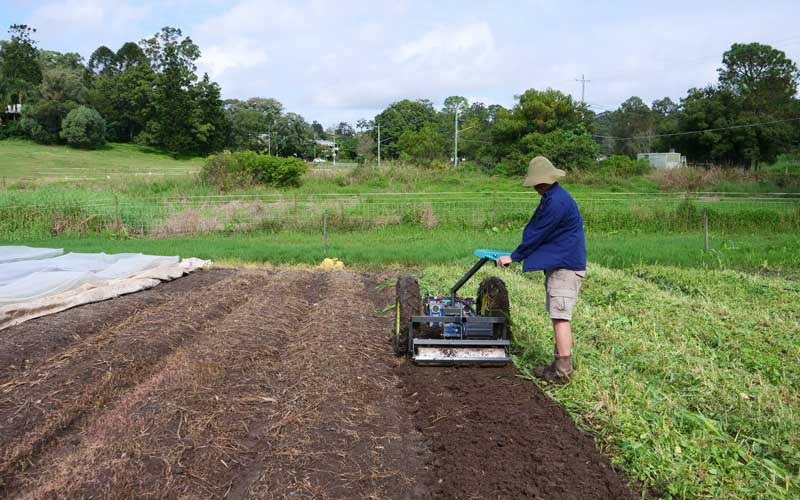 Ellia Shallow Rotary Hoe Implement for Cyber Clydesdale
