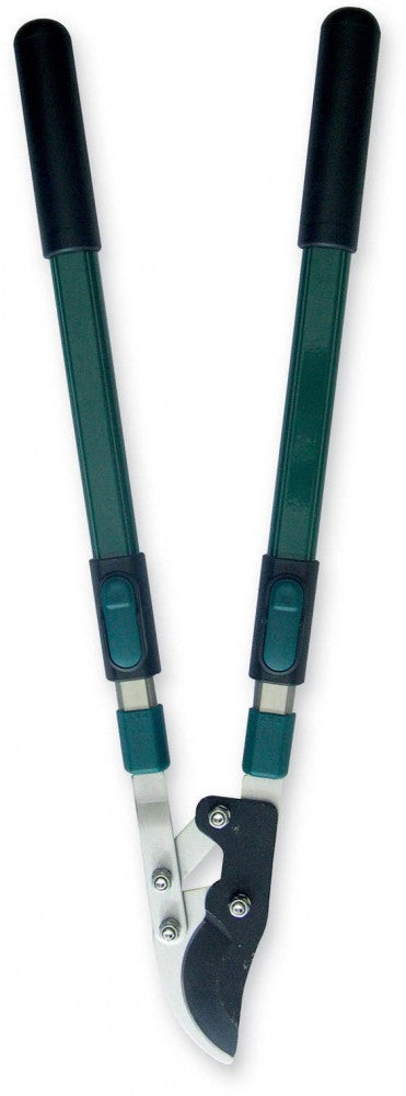 Telescopic By-Pass Lopper