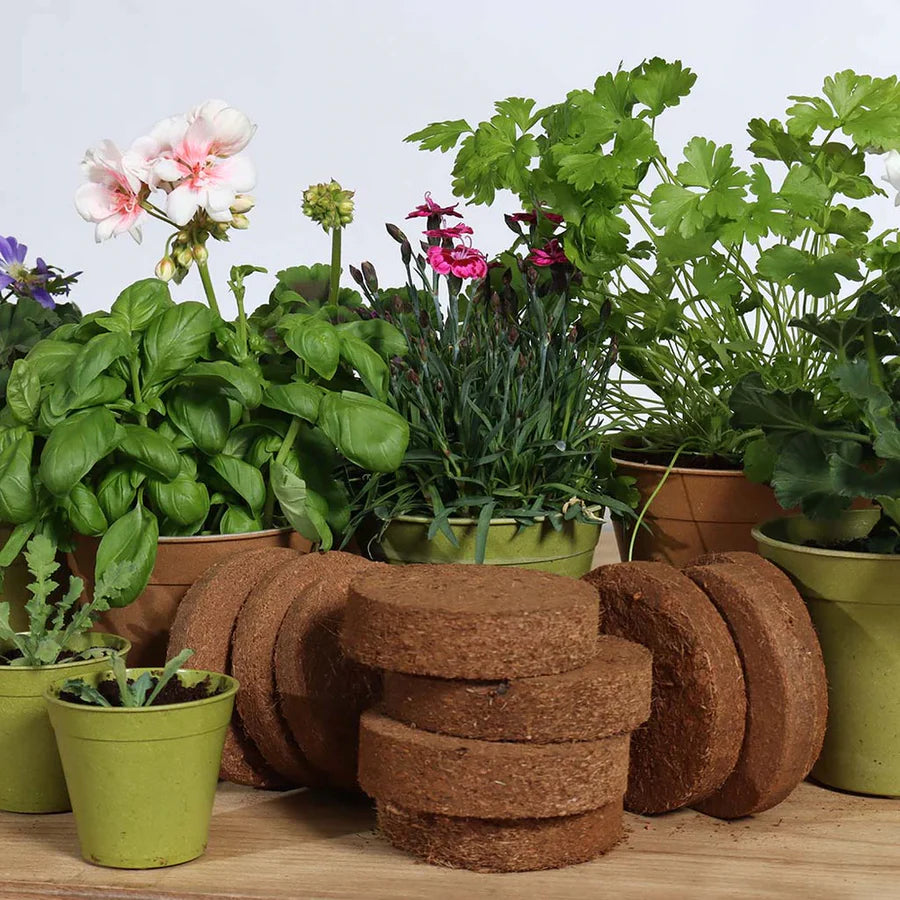 Growlite Peat-Free Multi-use Coir Based Growing Medium 100g Discs