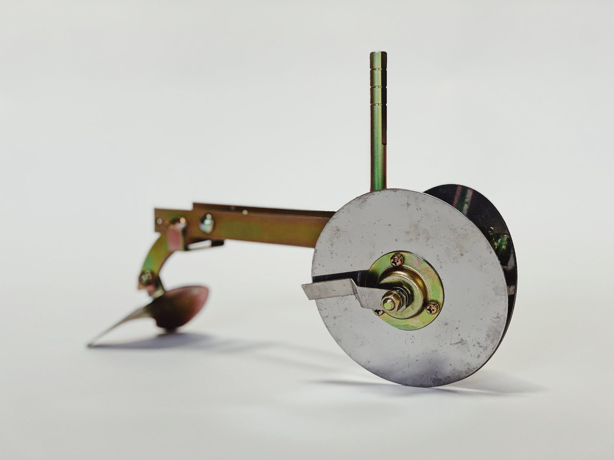 Jang Disc Shoe